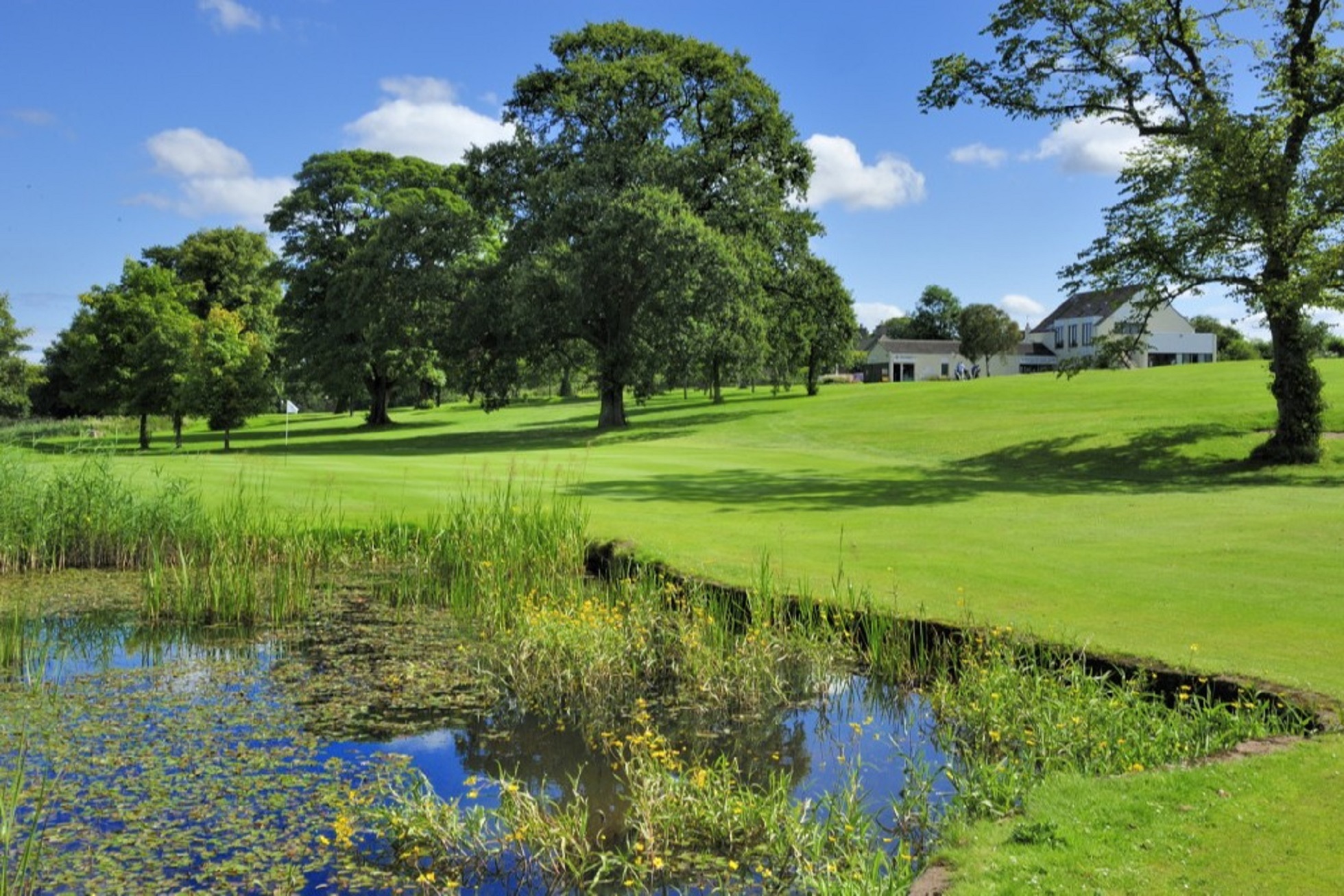 Home - Haddington Golf Club